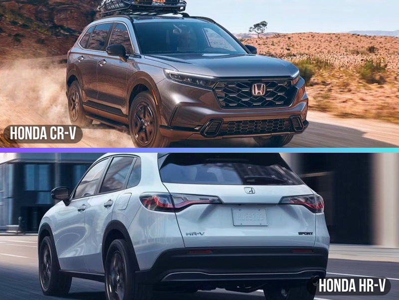 Difference Between Cr V And Hr V